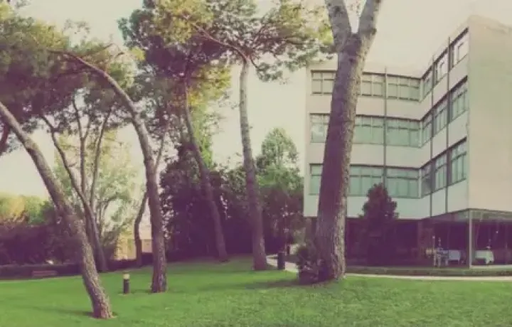 Observatorio EOI "Las relaciones comerciales con América Latina: retos ...